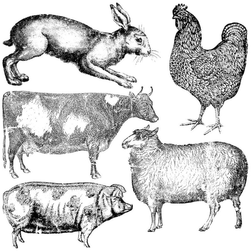 Tampon Farm Animals - Peinture rénovation de meubles